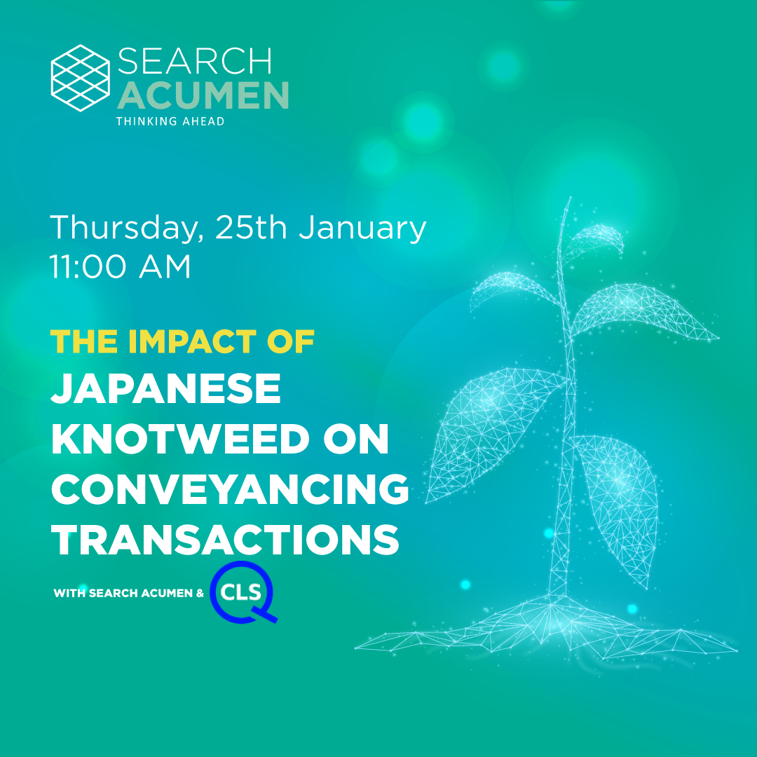 The Impact of Japanese Knotweed on Conveyancing Transactions - Search ...