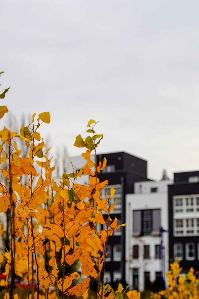 Commercial & Residential Property Technology - Search Acumen